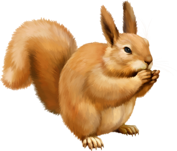 TUBES ANIMAUX - Page 3