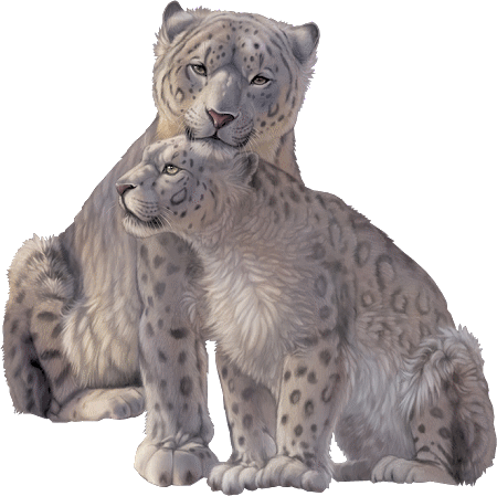 TUBES ANIMAUX - Page 22