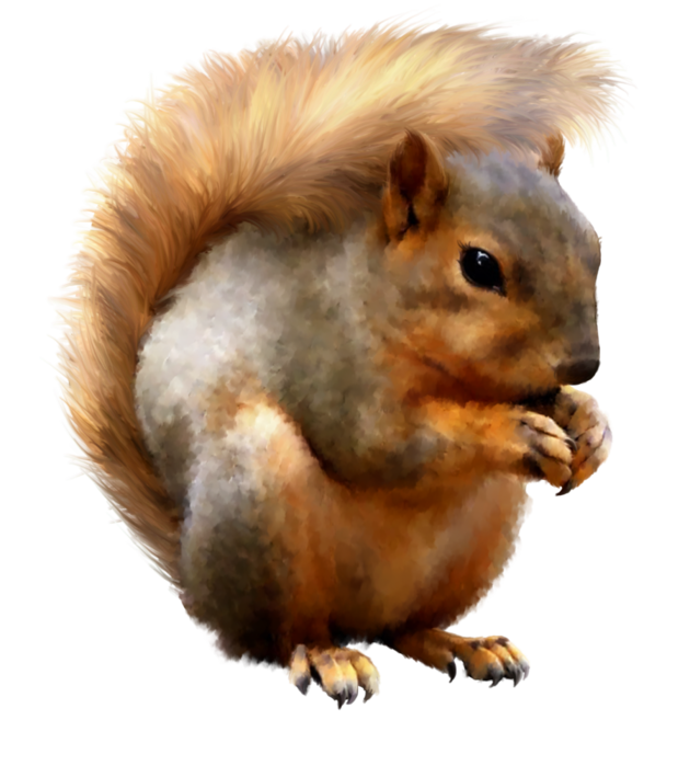 TUBES ANIMAUX - Page 14