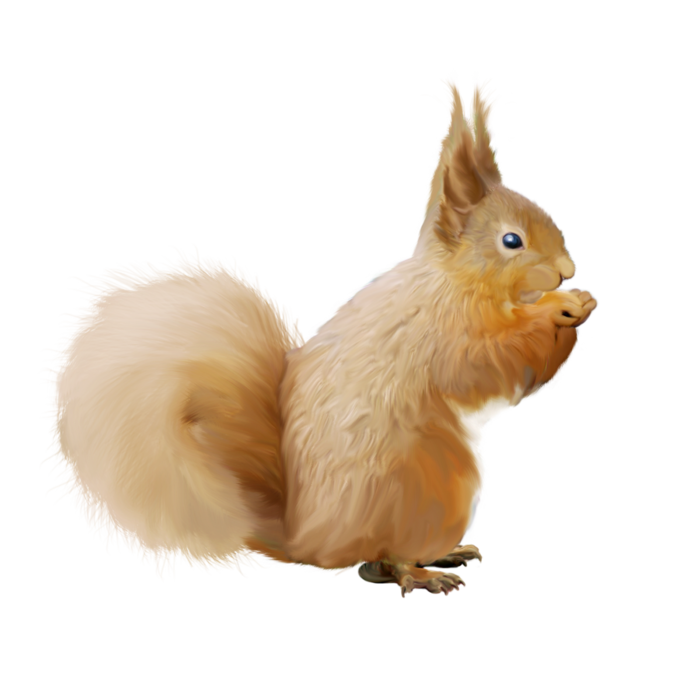 TUBES ANIMAUX - Page 13